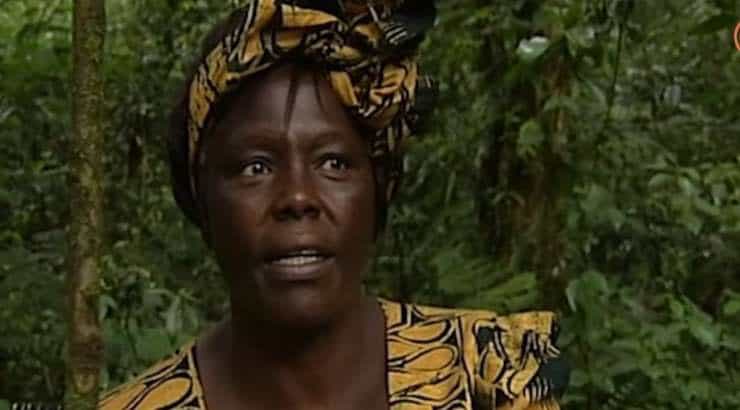 19 Black Female Scientists That Have Changed The World - That Sister