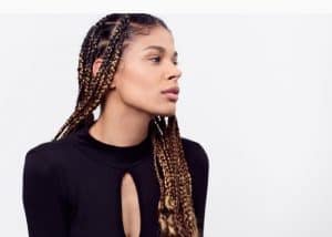 37 Coi Leray Braids Hairstyles, Price, How To & More - That Sister