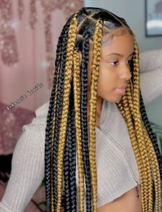 67 Box Braids Hairstyles, How To, Price & More - That Sister