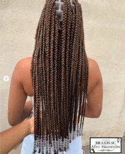 67 Box Braids Hairstyles, How To, Price & More - That Sister