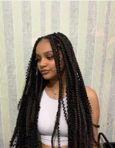 67 Box Braids Hairstyles, How To, Price & More - That Sister